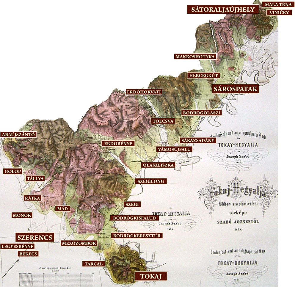 Tokaji – Historic Sweet Wine of Hungary | Tatler Asia